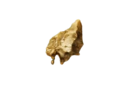 Blessed Bone Shard | Elden Ring | Hardcore Gamer