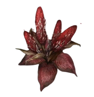 Dragon's Calorbloom | Elden Ring | Hardcore Gamer