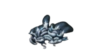 Frozen Maggot | Elden Ring | Hardcore Gamer