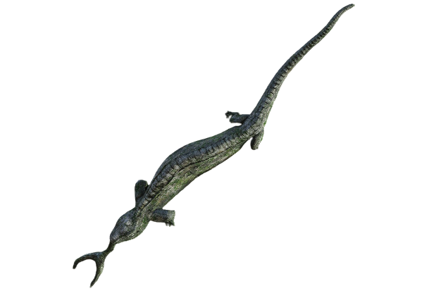 All Swords | Elden Ring