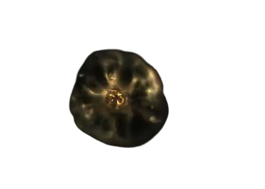 Shadow Realm Rune [1] | Elden Ring | Hardcore Gamer