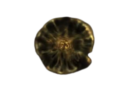 Shadow Realm Rune [3] | Elden Ring | Hardcore Gamer