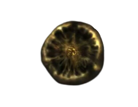 Shadow Realm Rune [4] | Elden Ring | Hardcore Gamer