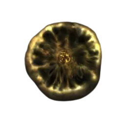 Shadow Realm Rune [5] | Elden Ring | Hardcore Gamer