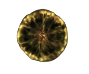 Shadow Realm Rune [6] | Elden Ring | Hardcore Gamer