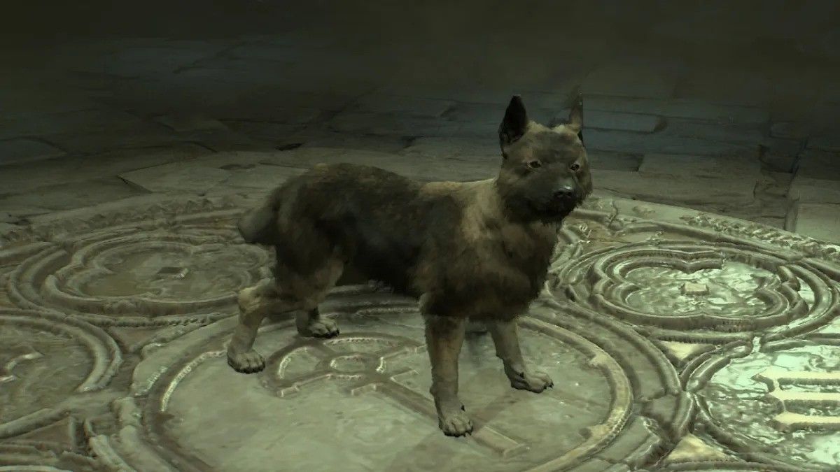 How to Unlock Pets in Diablo IV