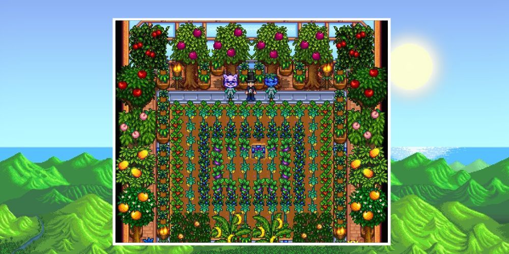 Best Stardew Valley Farm Layout Ideas