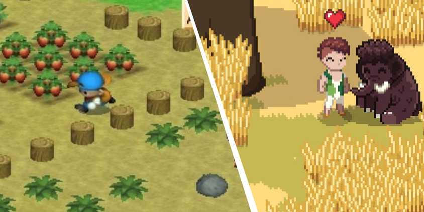 Stardew Valley: Best Ring Combos