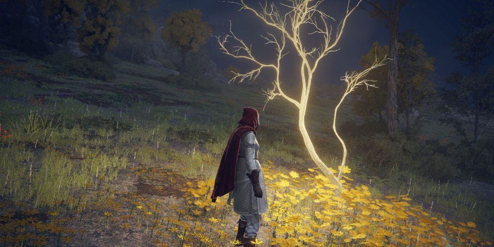 Important Items To Get Before Shadow of the Erdtree
