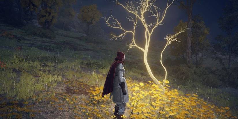 Important Items To Get Before Shadow of the Erdtree