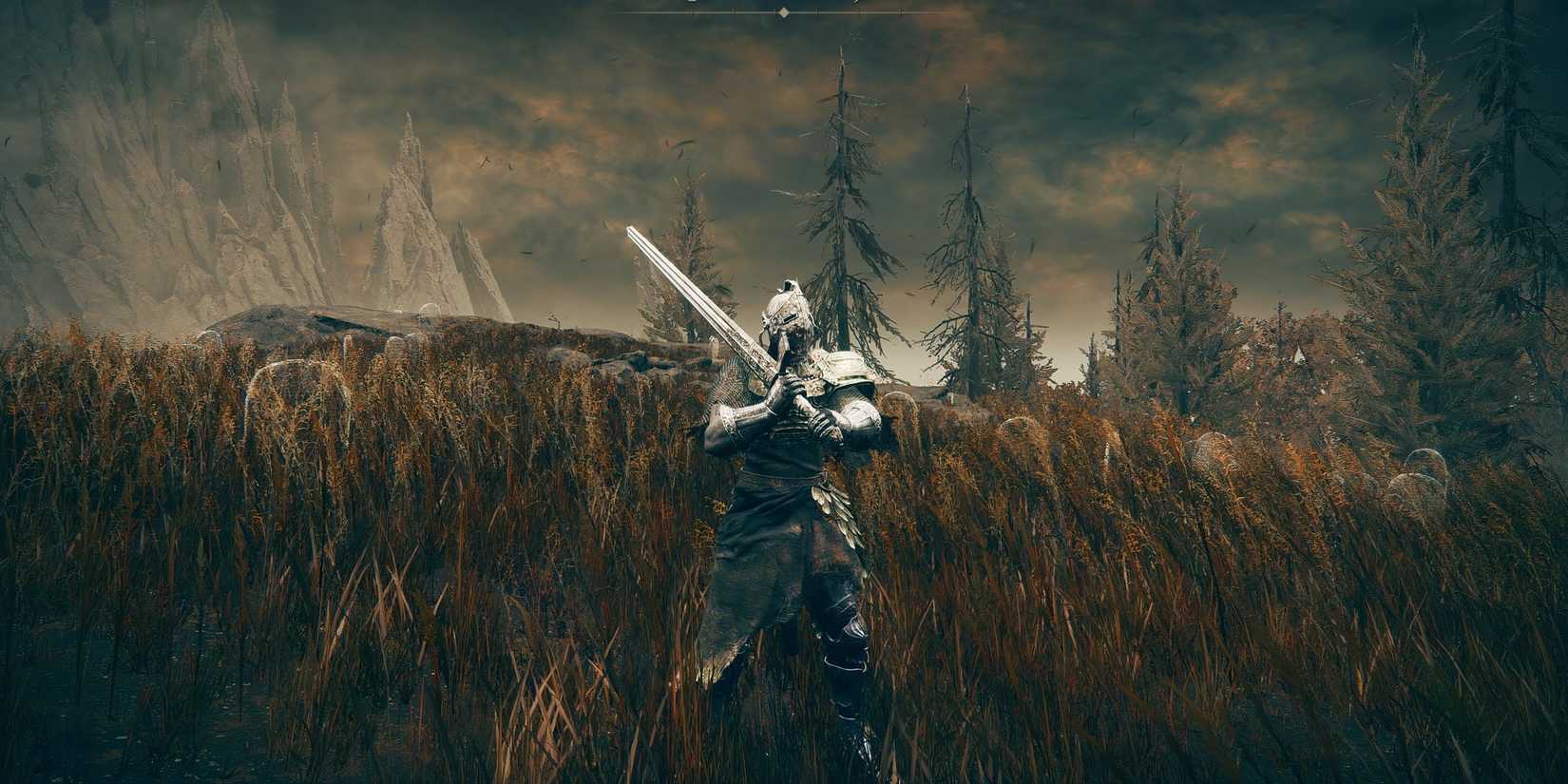 greatsword knight elden ring