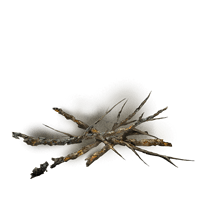 Charming Branch | Elden Ring | Hardcore Gamer