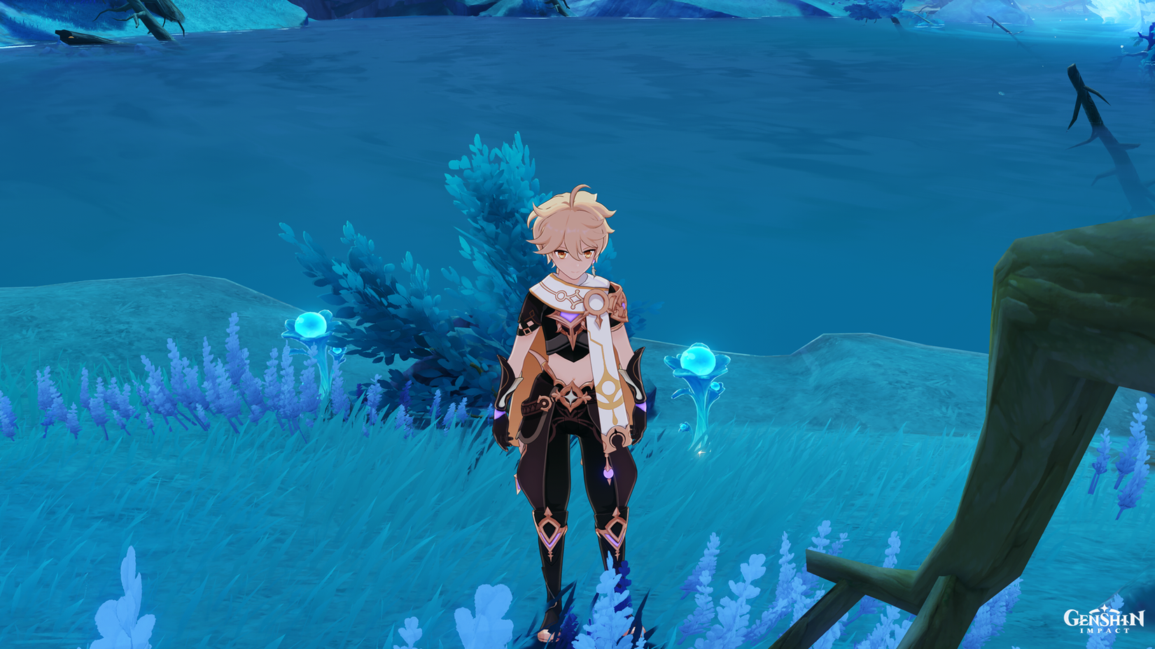 Where to Find Lakelight Lilies in Genshin Impact