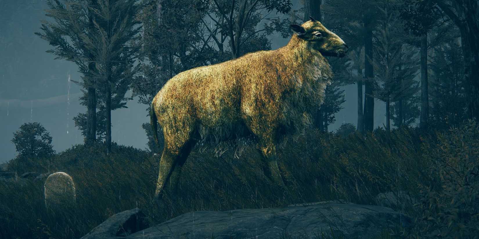 The 10 Cutest Mob Companions in Elden Rng