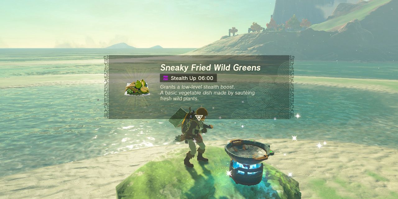 Best Food in Zelda: Tears of the Kingdom