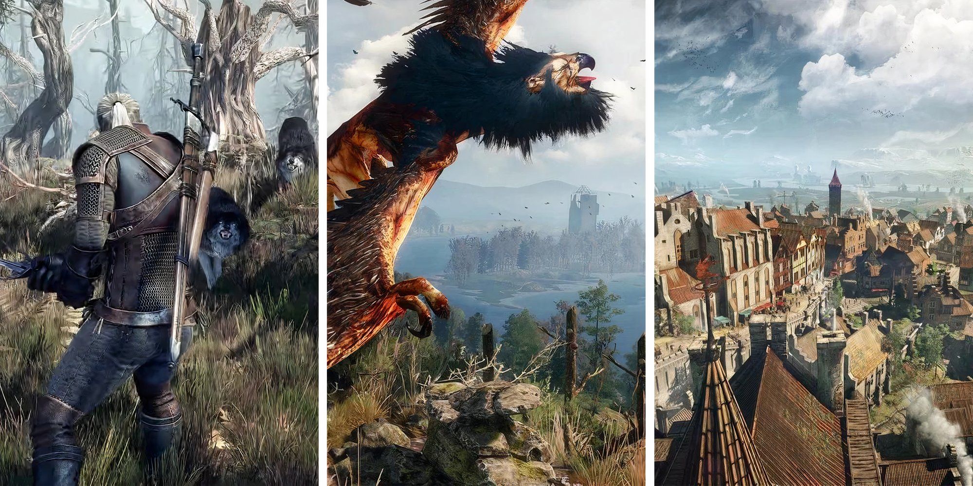 Best Side Quests In The Witcher 3: Wild Hunt