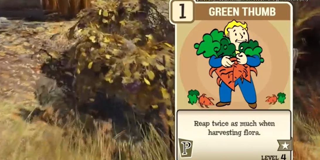 Best Perks In Fallout 76