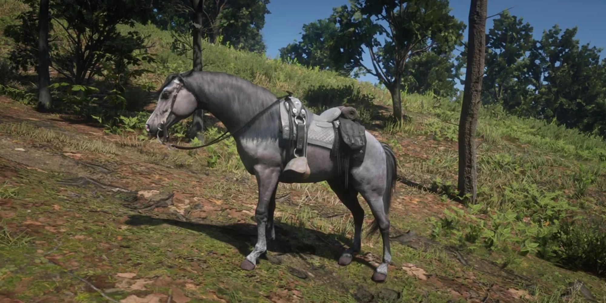 The Best Horses to Ride in Red Dead Redemption 2