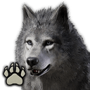 All Morphs in Throne And Liberty