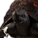 All Morphs in Throne And Liberty