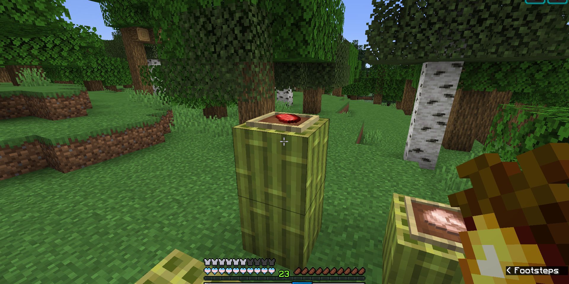 Minecraft's Best Updates, Ranked