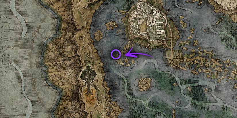 Octopus Head | Elden Ring | Hardcore Gamer