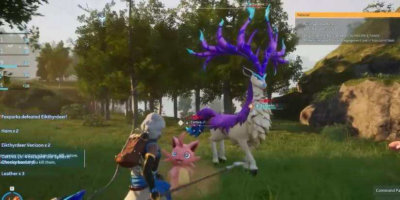 Essential Palworld Tips and Tricks Every Player Should Know