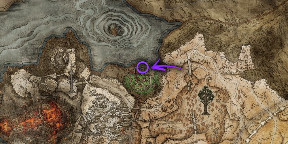 Elemer of the Briar | Elden Ring | Hardcore Gamer