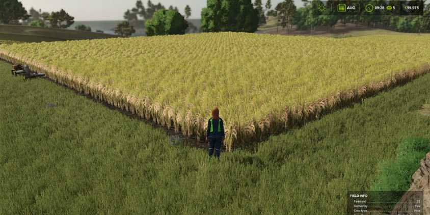 Reset Vehicles Guide in Farming Simulator 25