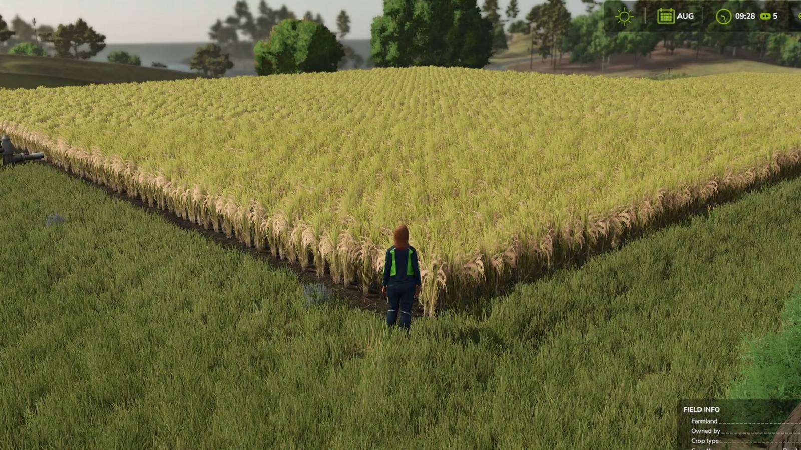 How to Harvest Rice in Farming Simulator 25