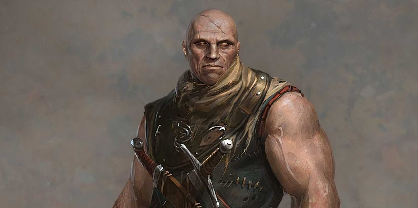 the witcher 3 plot holes