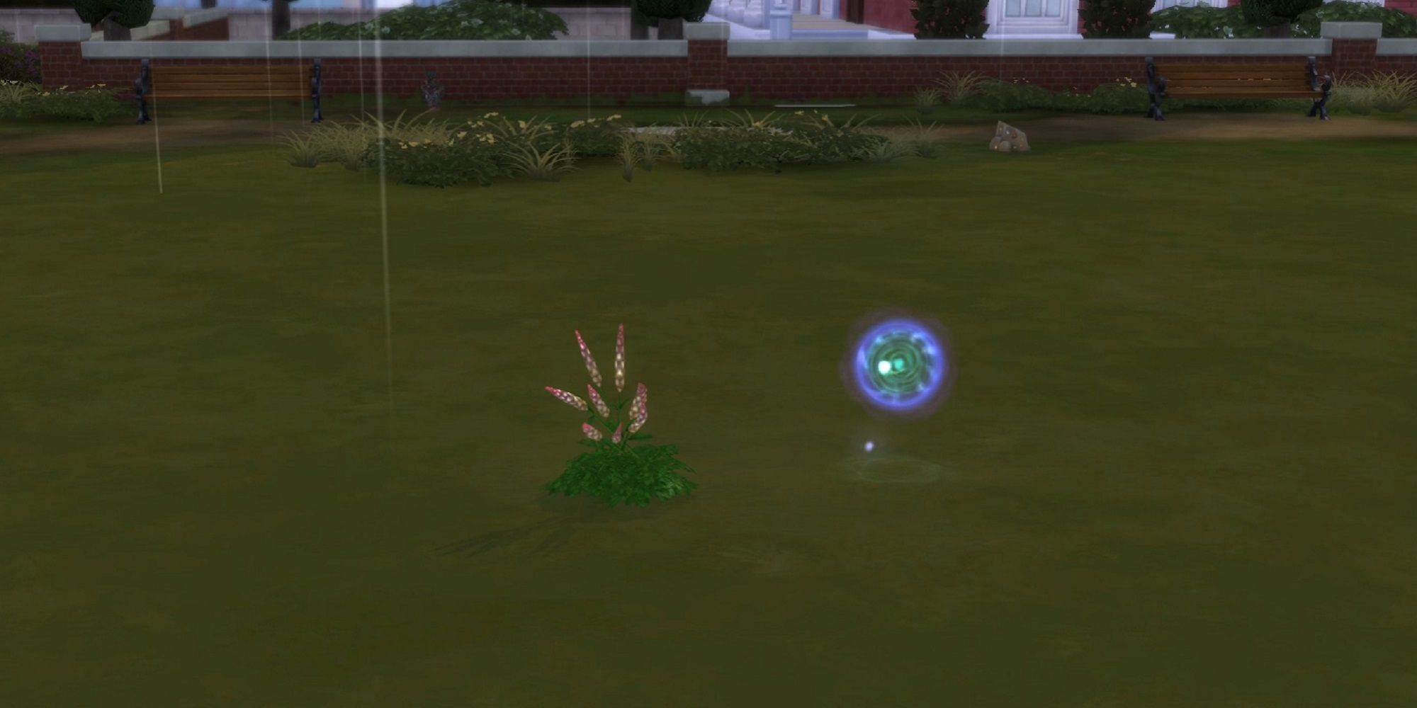Where to Find Grimbrosia Plants in The Sims 4 Life And Death