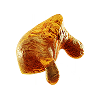 Where is the Compass in Stalker 2