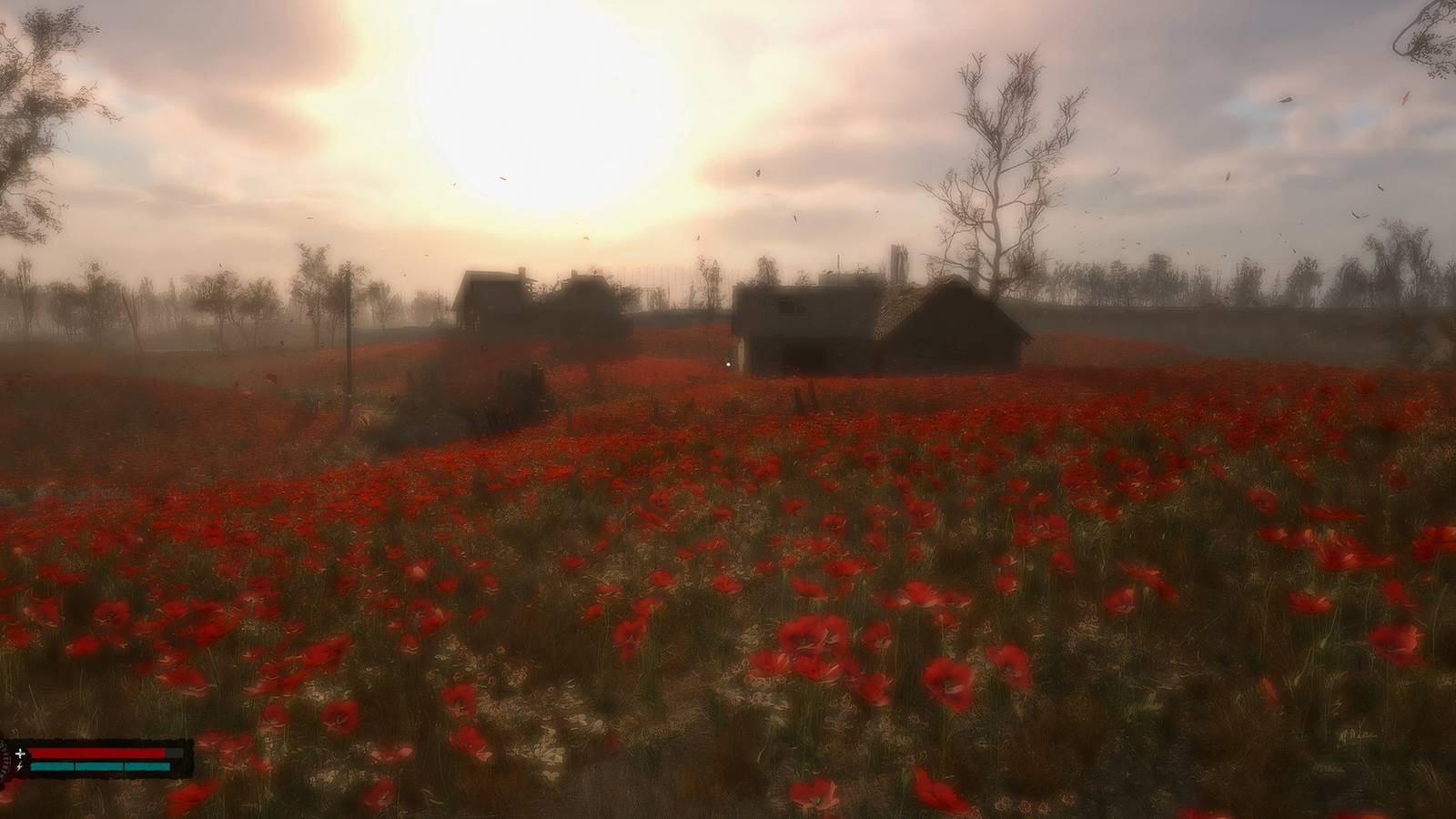 The Poppy Field Quest Guide in Stalker 2