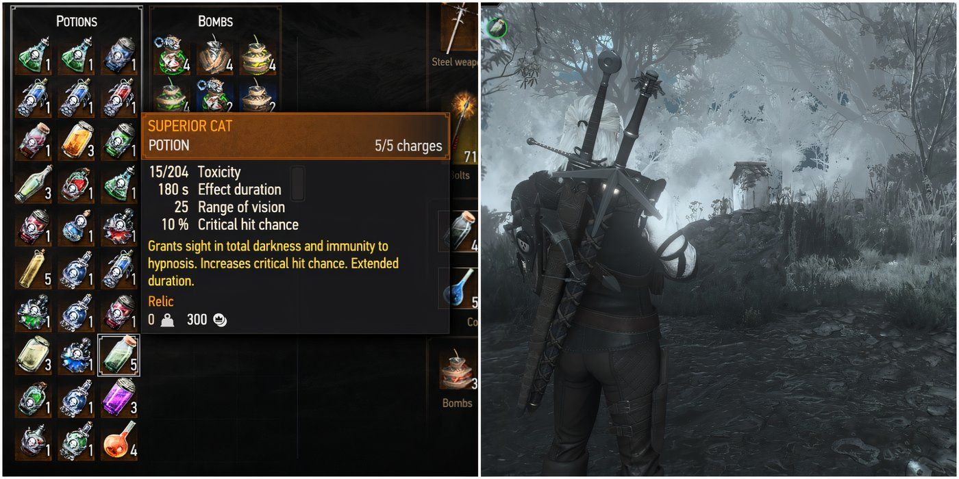 Essential Potions in The Witcher 3: Wild Hunt
