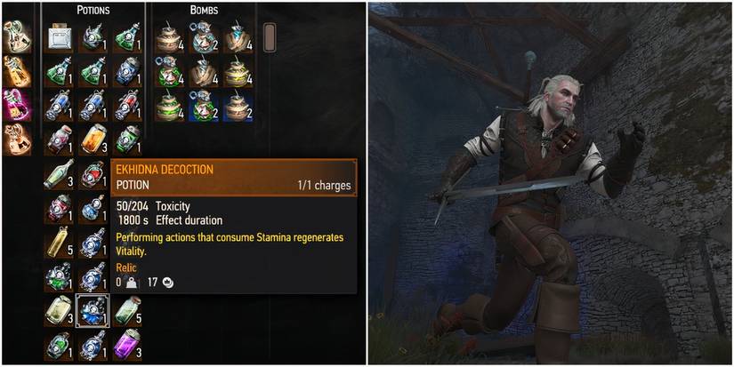 Essential Potions in The Witcher 3: Wild Hunt