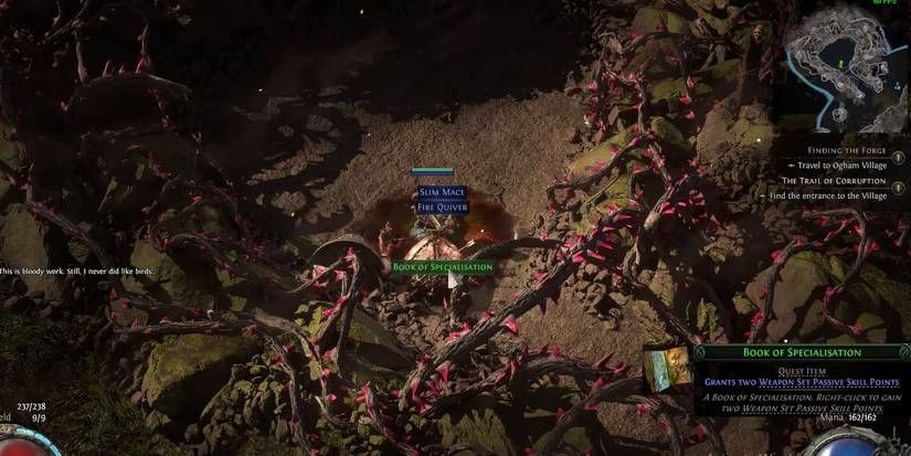Everything You Need to Know Before Playing Path of Exile 2