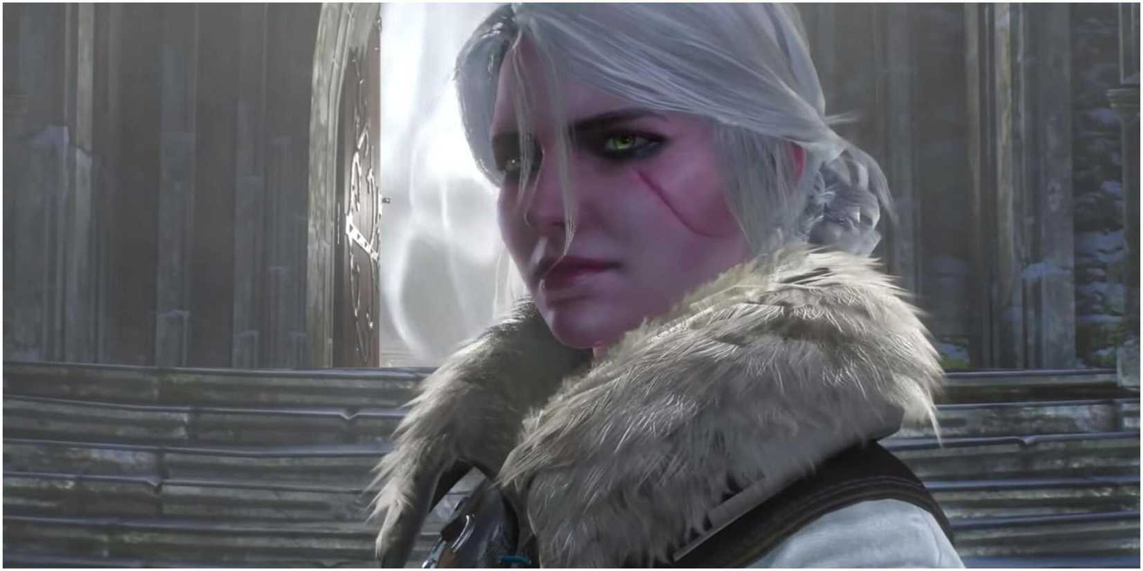Iconic Characters from The Witcher 3: Wild Hunt