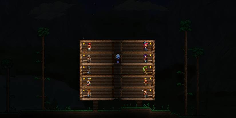 NPC Guide for Terraria