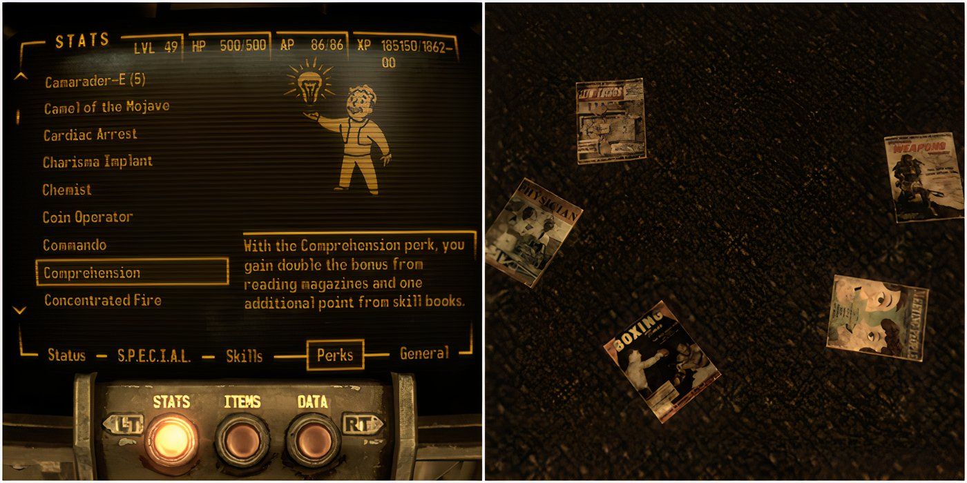 What are the Best Perks in Fallout: New Vegas?