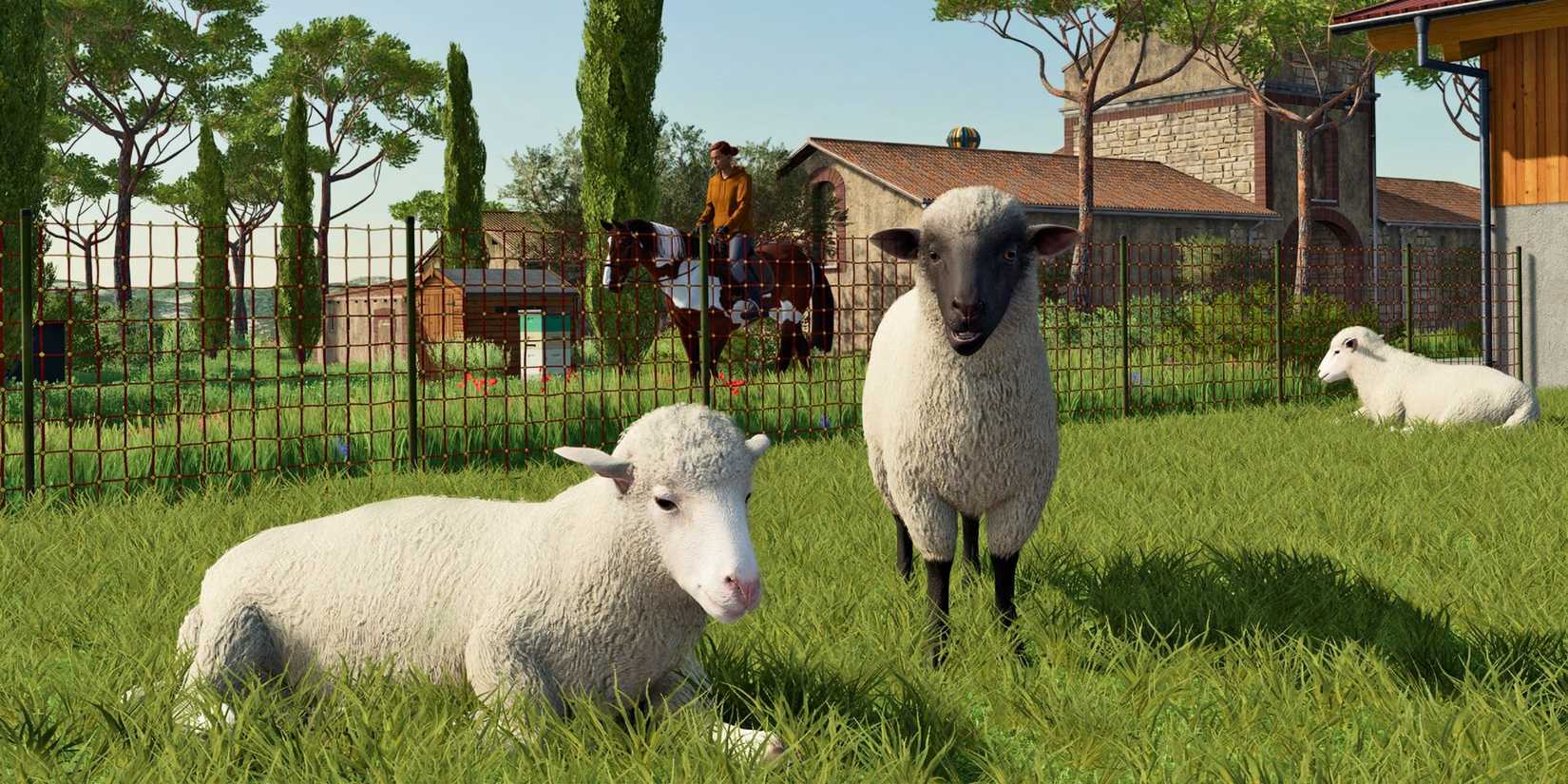 Are There Good Cozy Games on Xbox Game Pass?