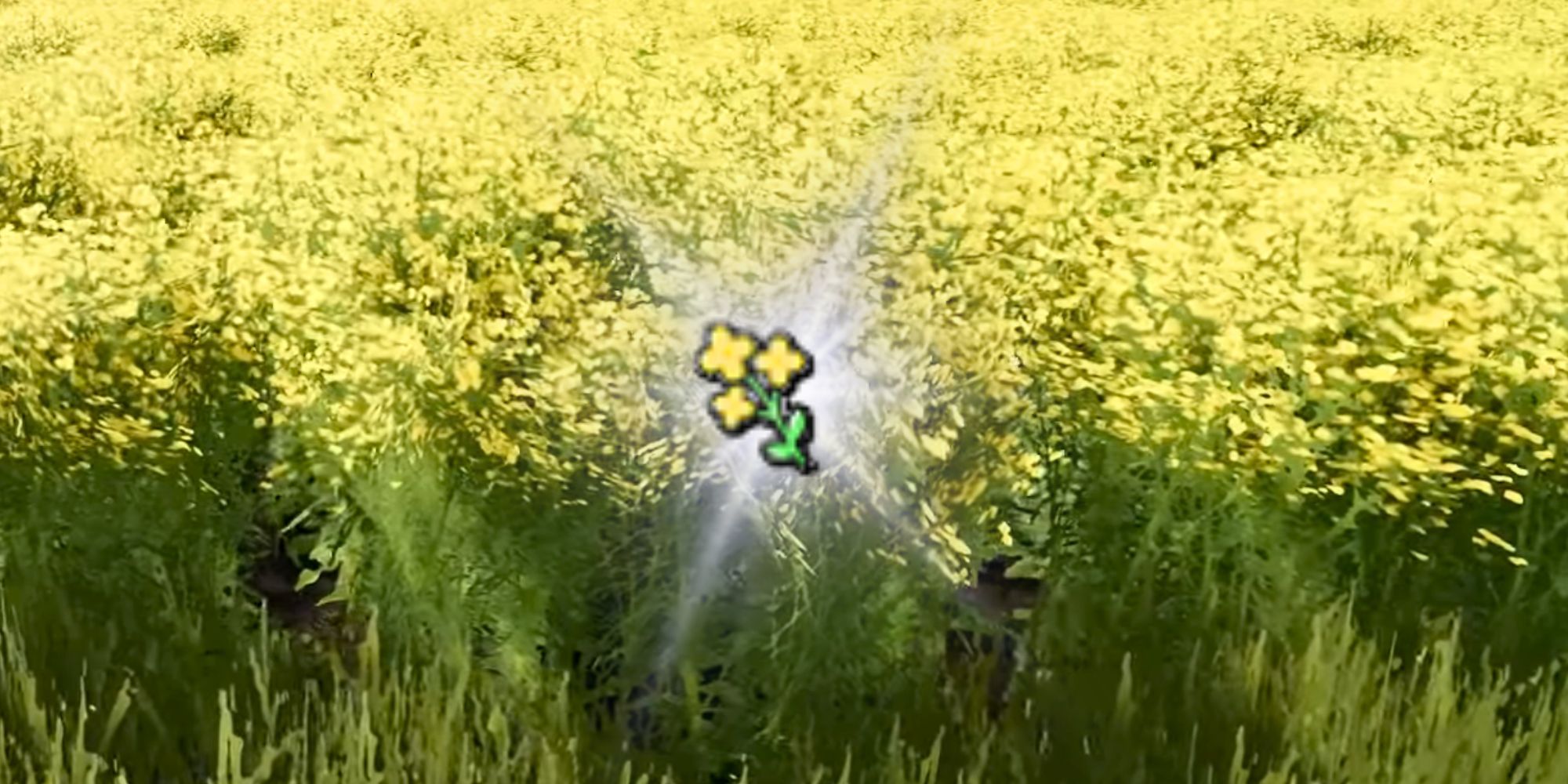 What are the Best Crops to Plant First in Farming Simulator 25?