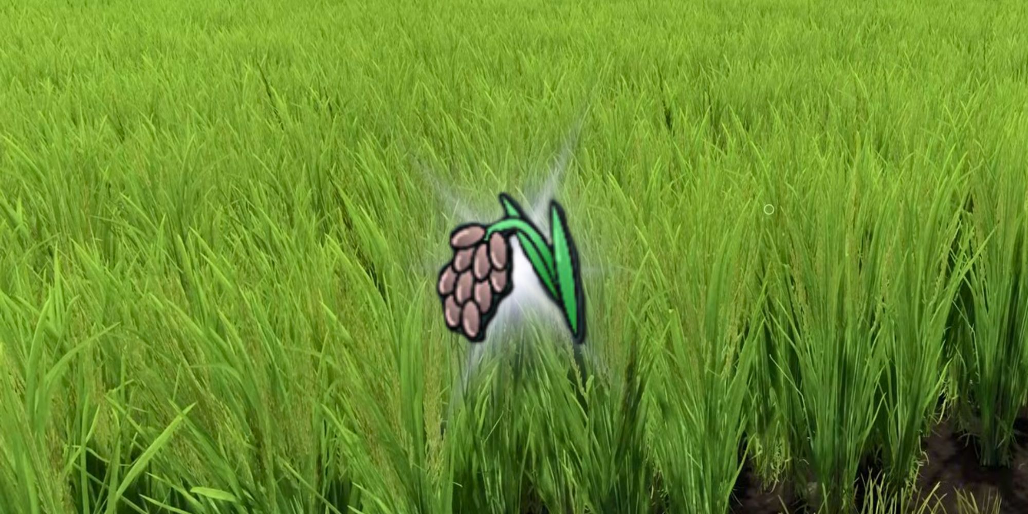 What are the Best Crops to Plant First in Farming Simulator 25?