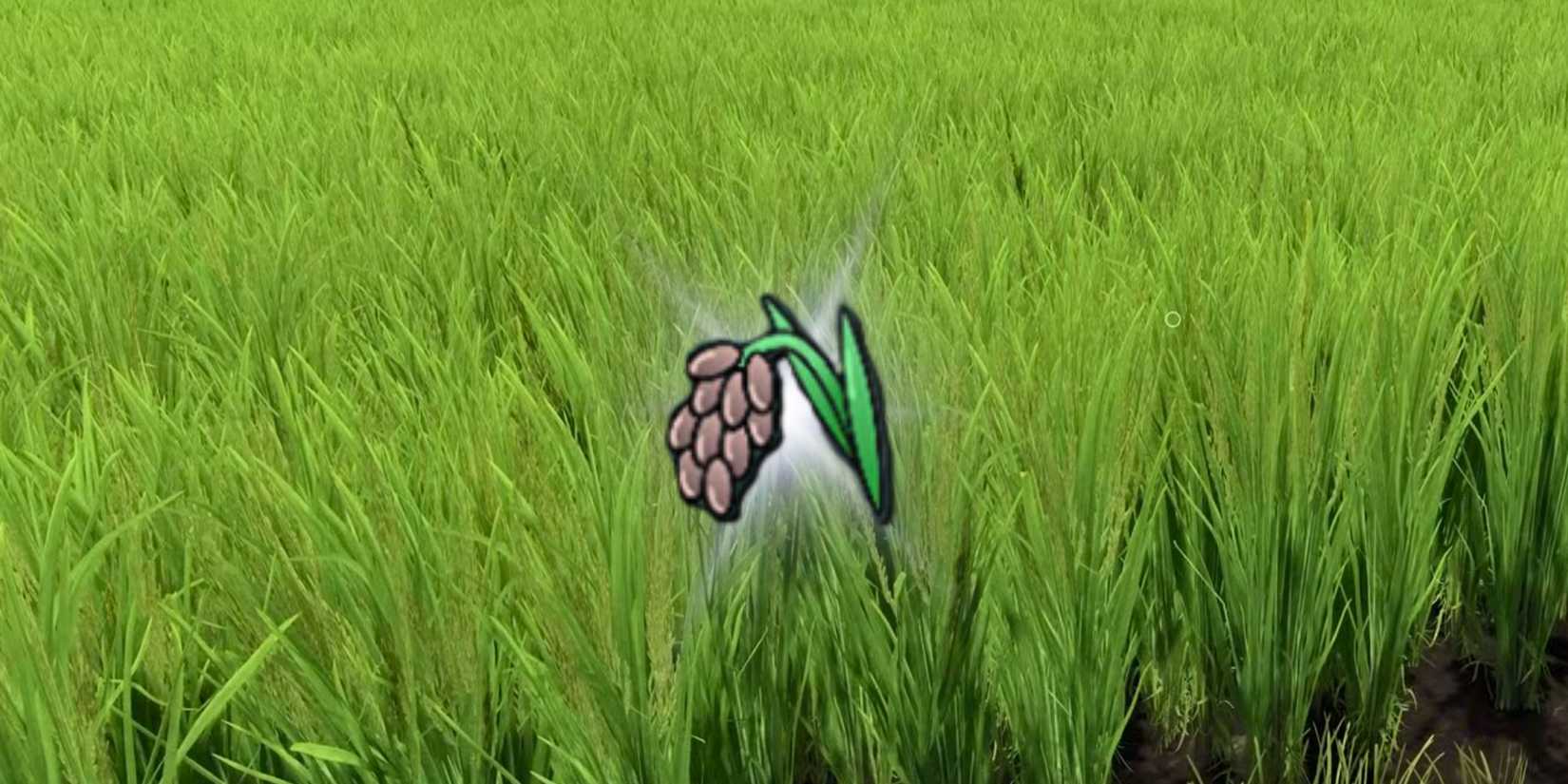 What are the Best Crops to Plant First in Farming Simulator 25?