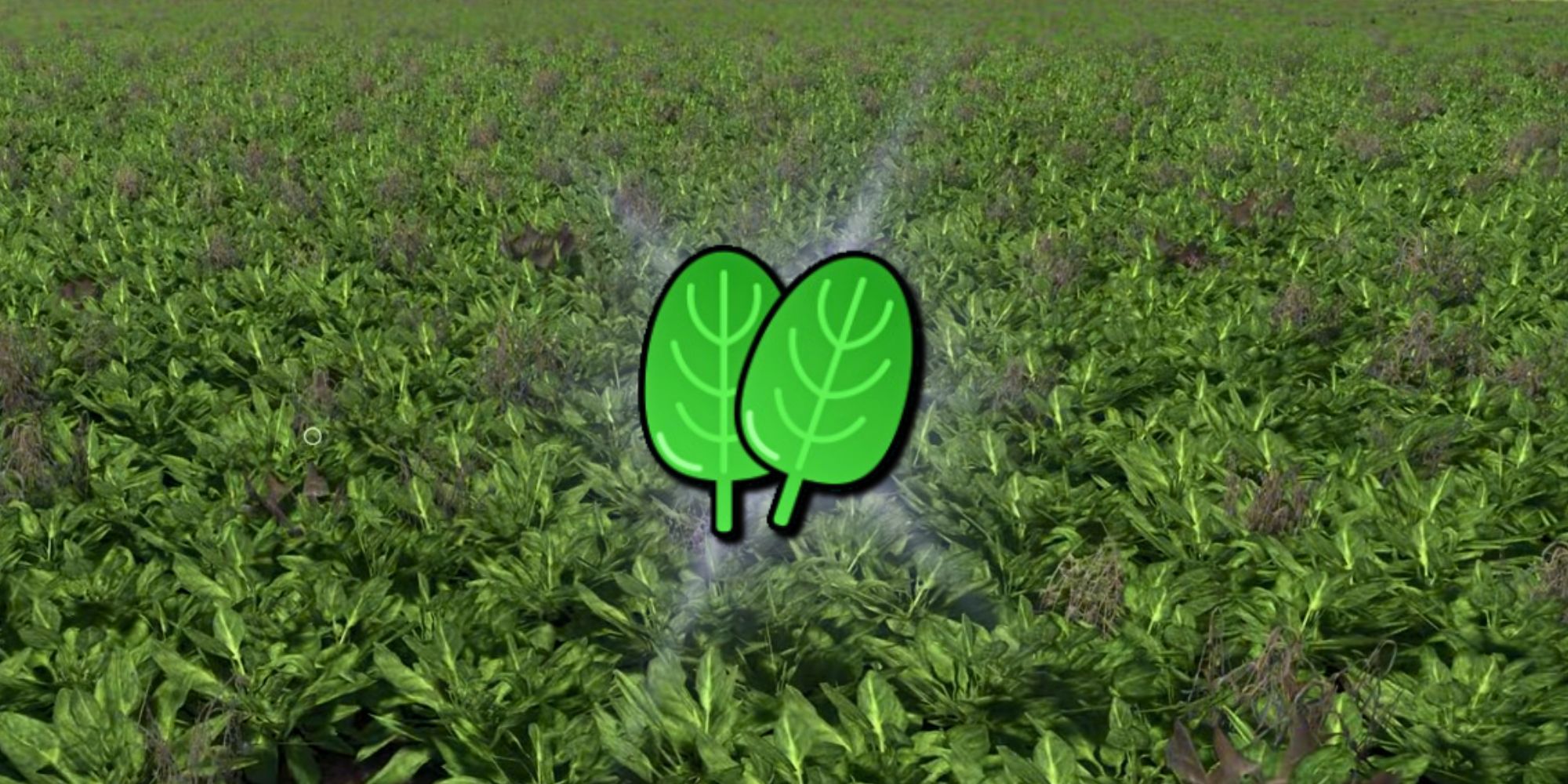 What are the Best Crops to Plant First in Farming Simulator 25?