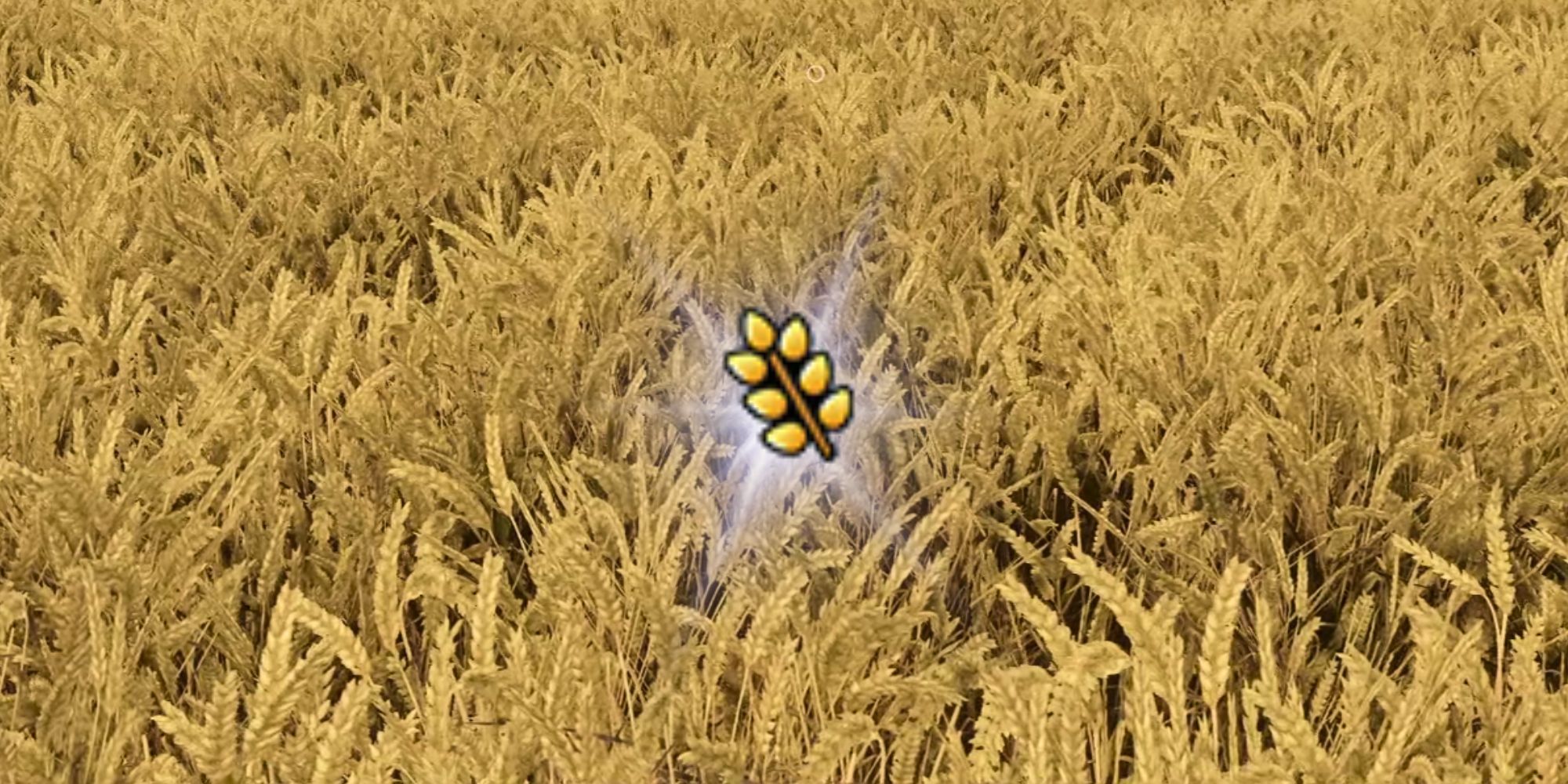 What are the Best Crops to Plant First in Farming Simulator 25?