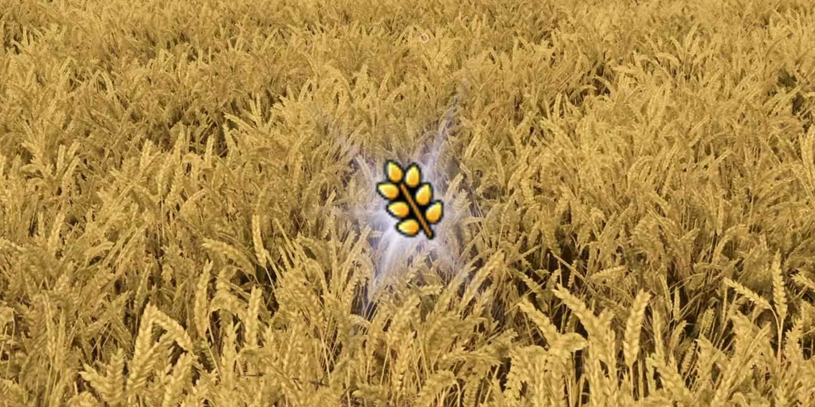 What are the Best Crops to Plant First in Farming Simulator 25?