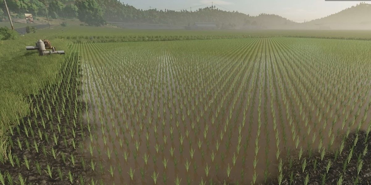 Essential Tips and Tricks to Use in Farming Simulator 25