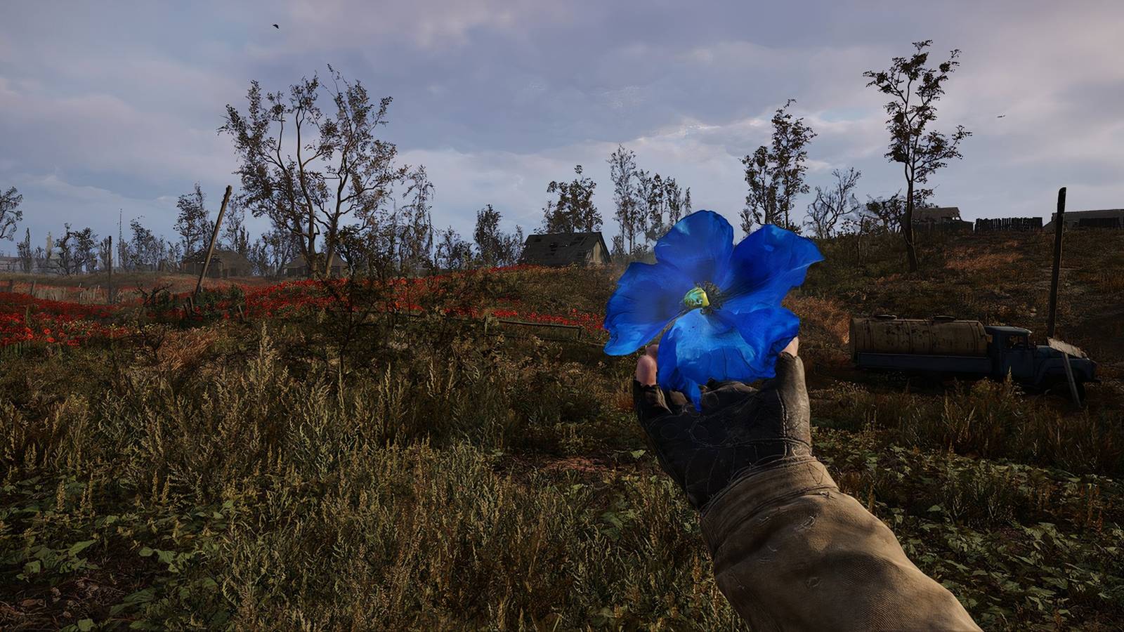 Where to Find the Weird Flower Altered Item in Stalker 2