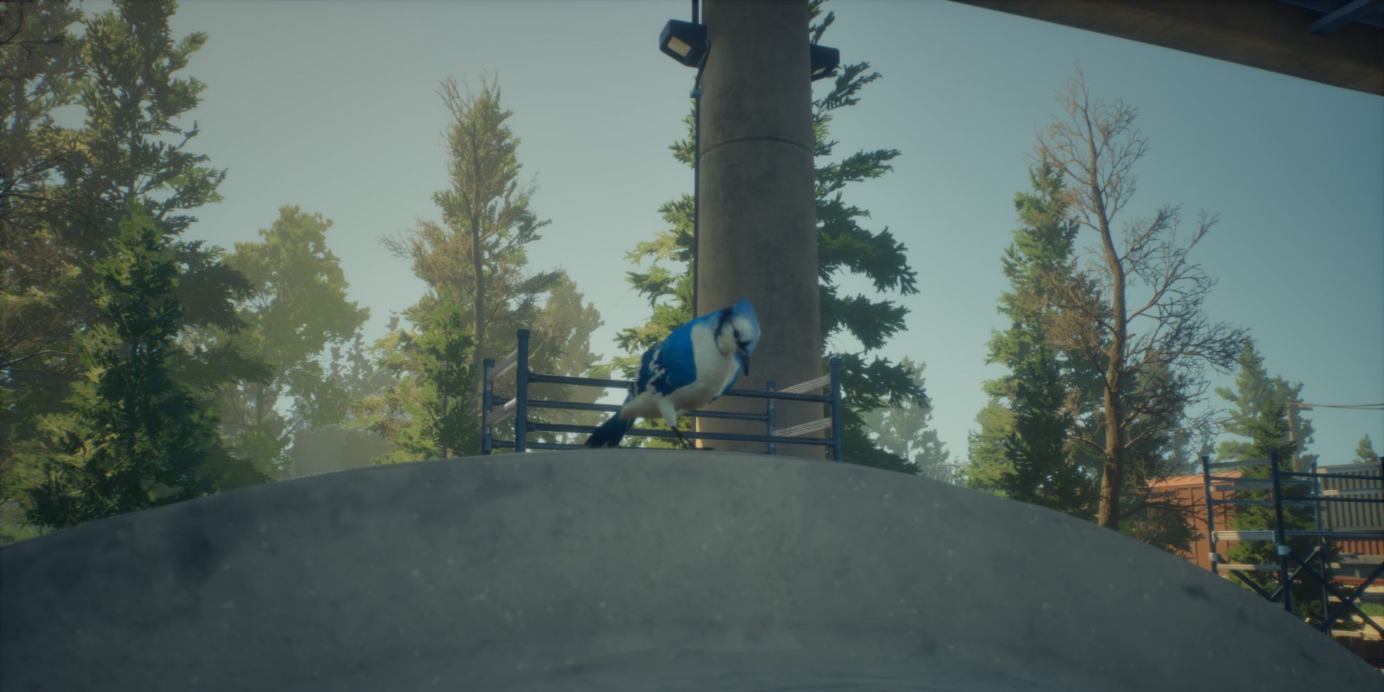 Where to Find Bird Filming Locations in Lost Records: Bloom & Rage